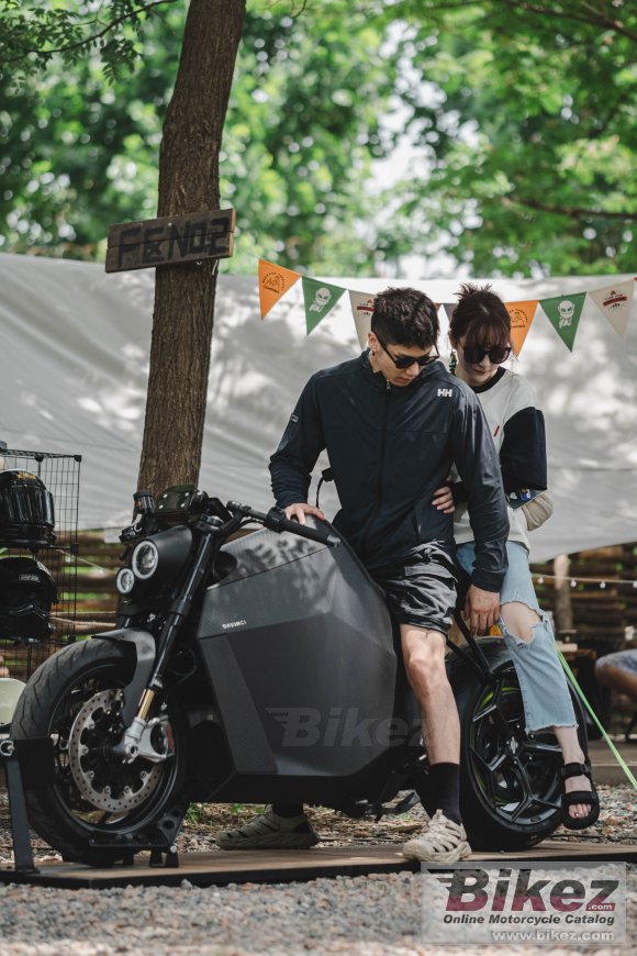 Davinci DC100 gallery